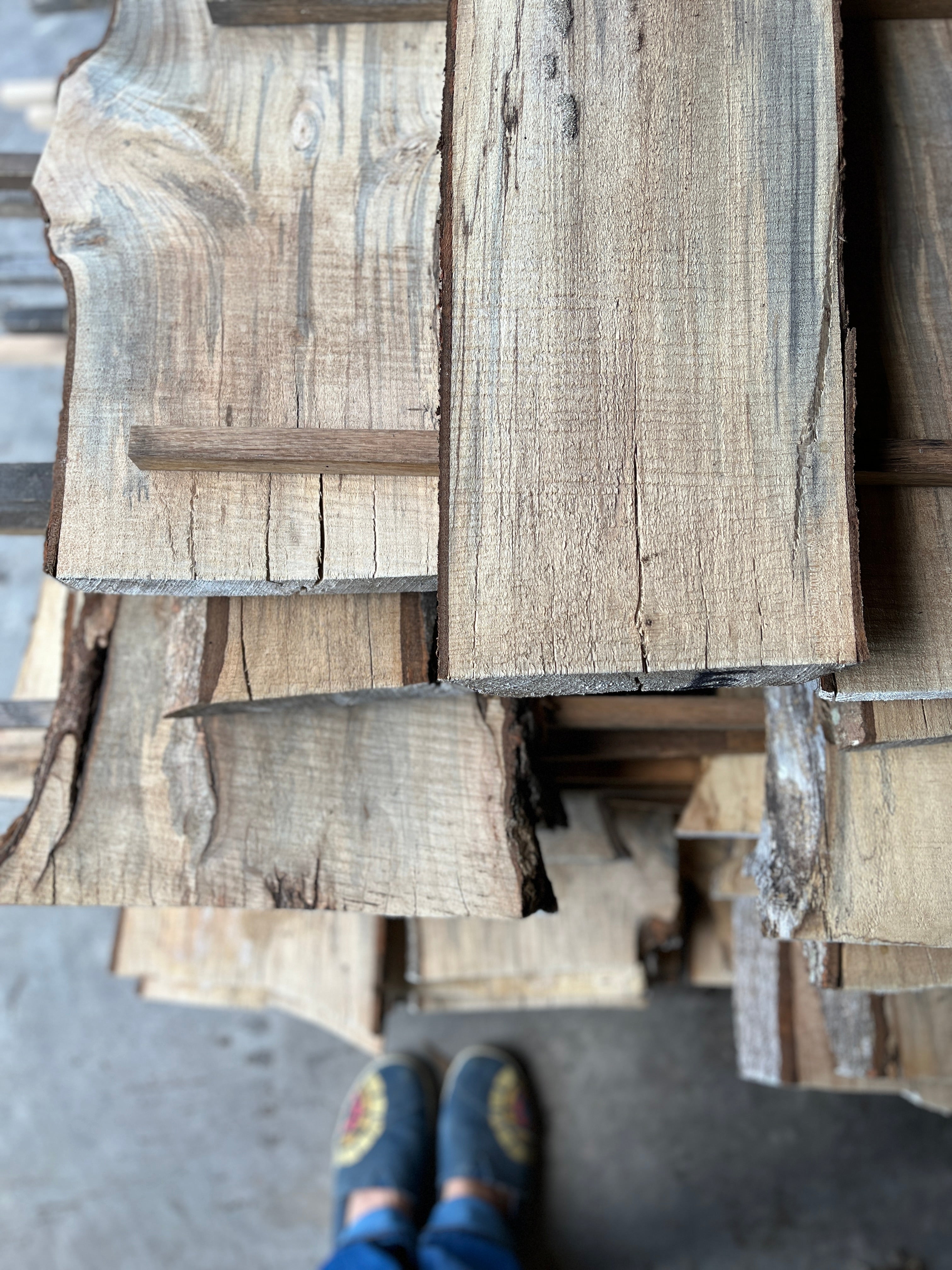 Everything You Need to Know About Kiln-Dried Wood in a Nutshell ...