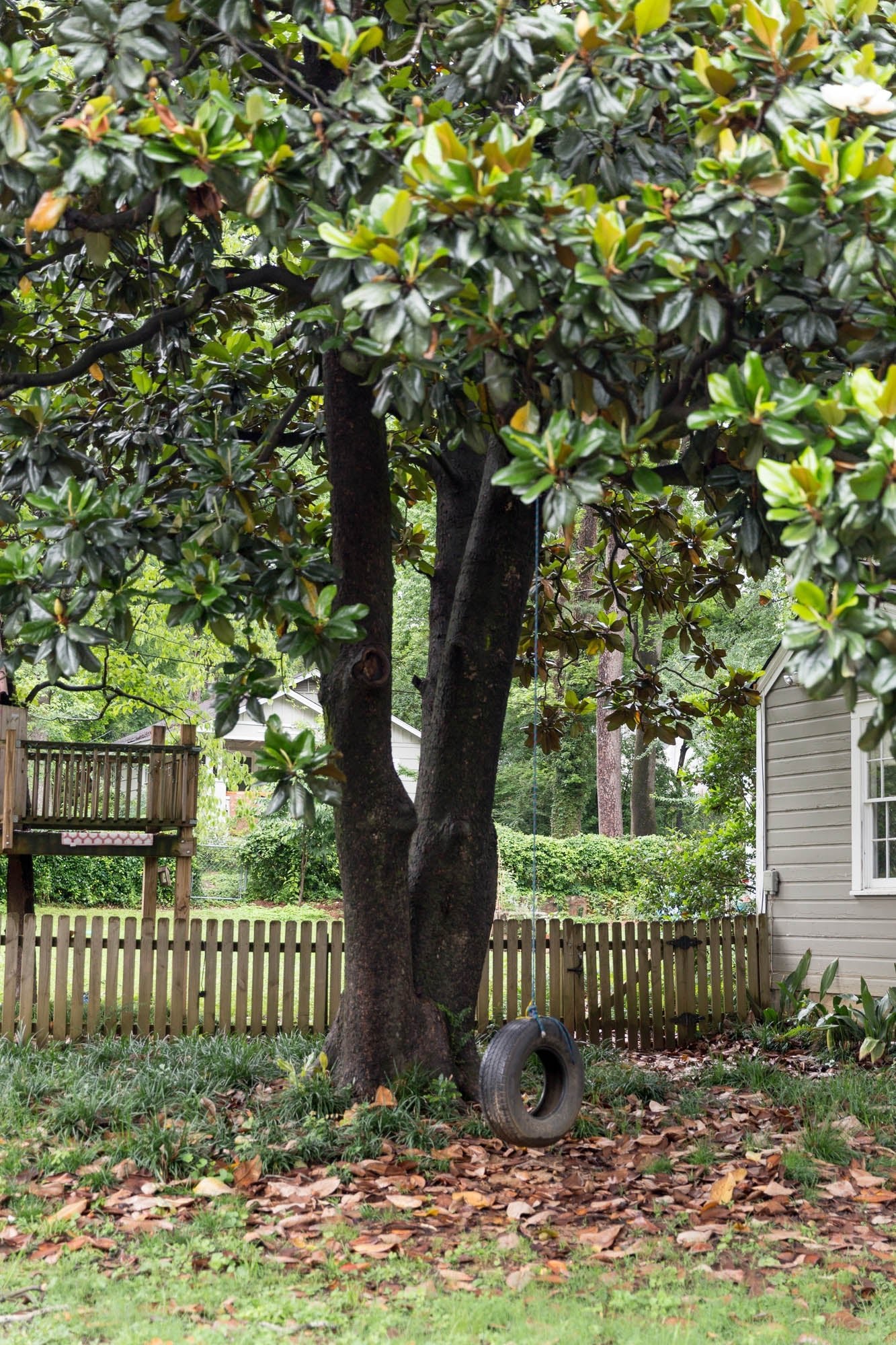 The Presence of Trees in Holiday Traditions – Alabama Sawyer